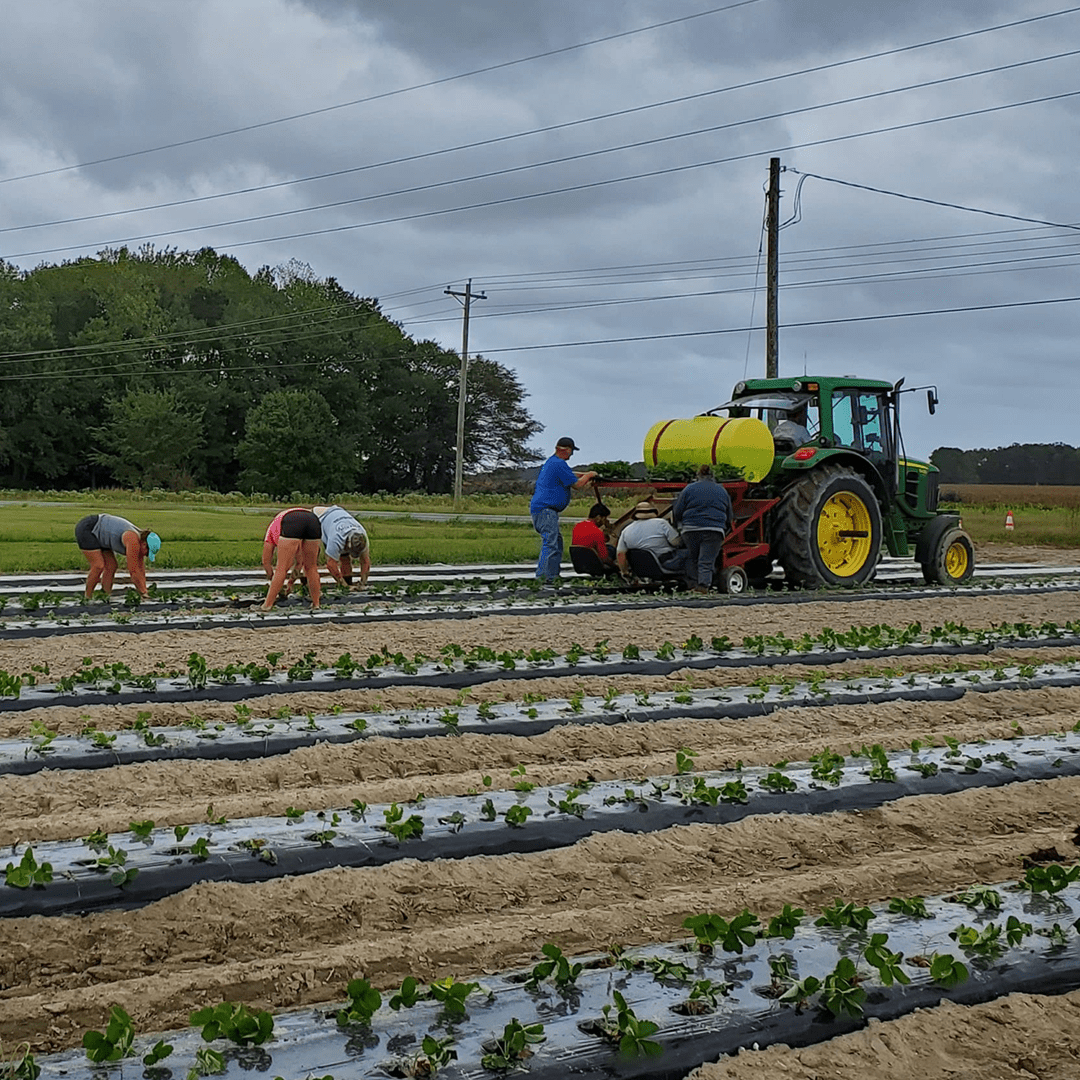 TRIC Robotics – Innovate Sustainably