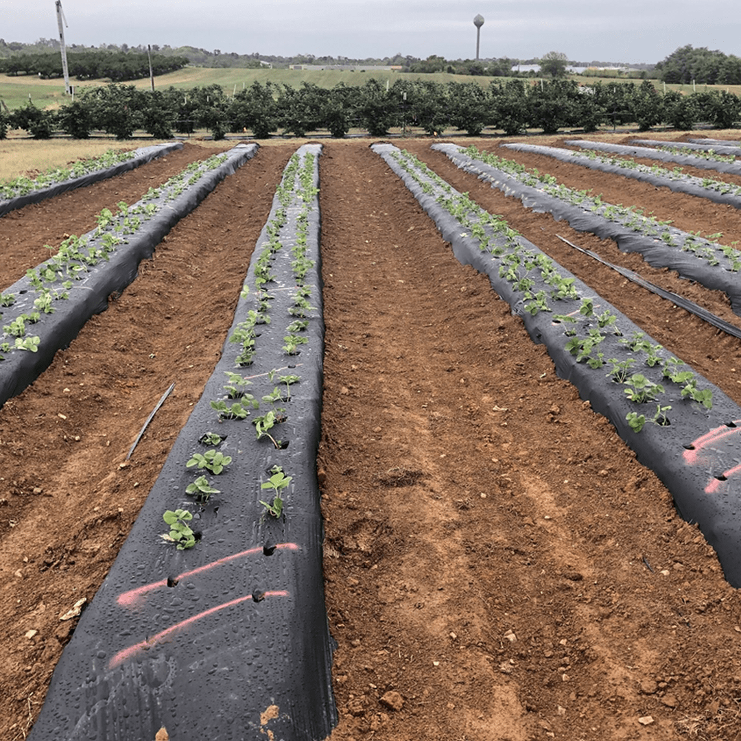 TRIC Robotics – Innovate Sustainably